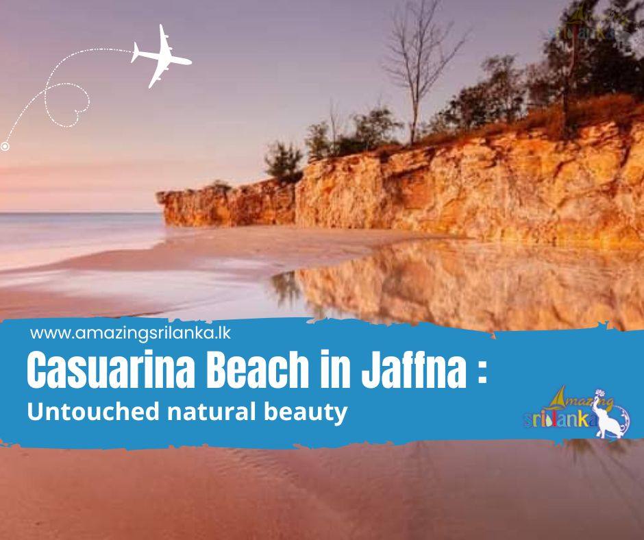 Casuarina Beach in Jaffna - Amazing Sri Lanka